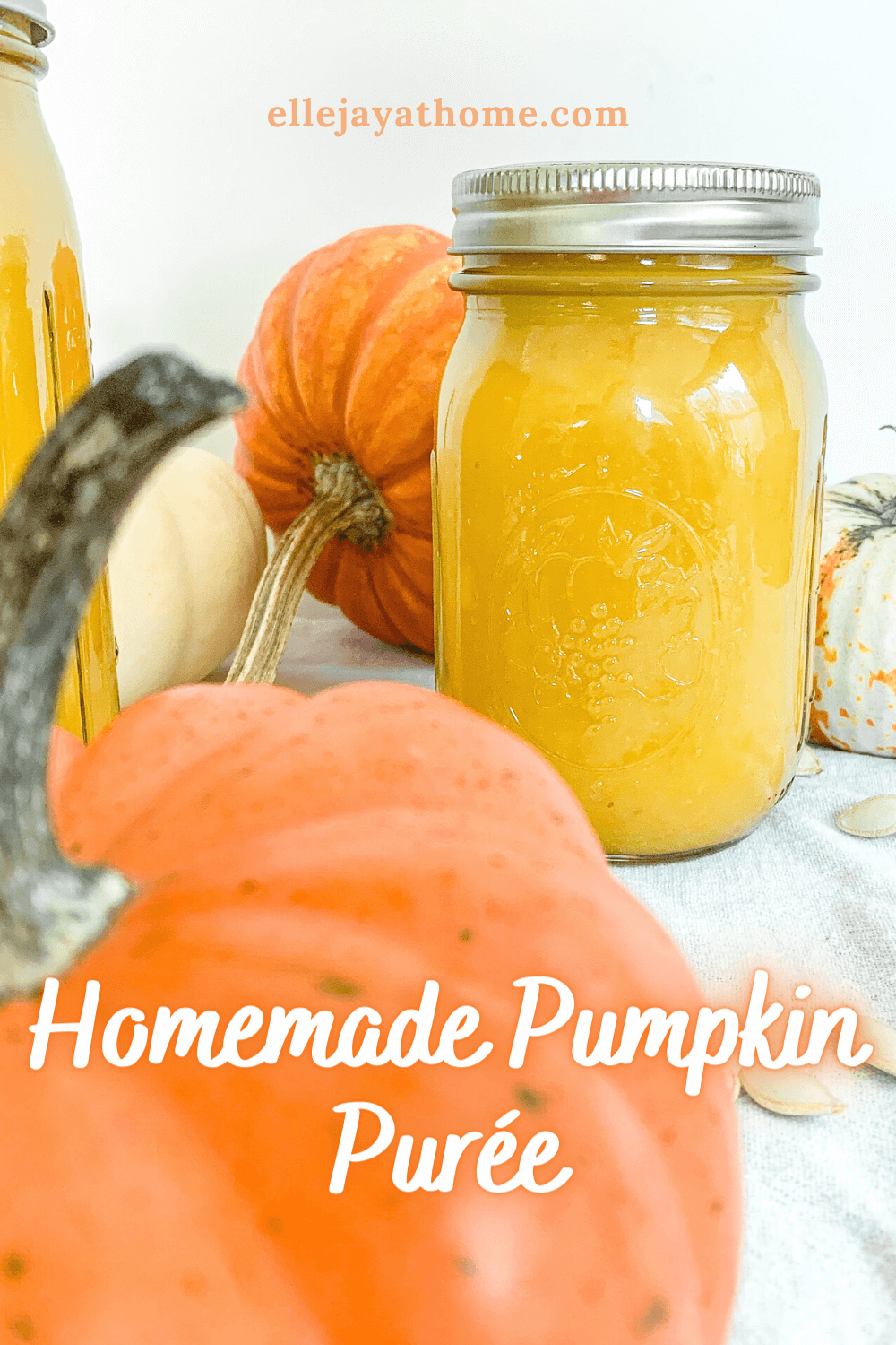 How to Make Homemade Roasted Pumpkin Purée - Elle Jay at Home